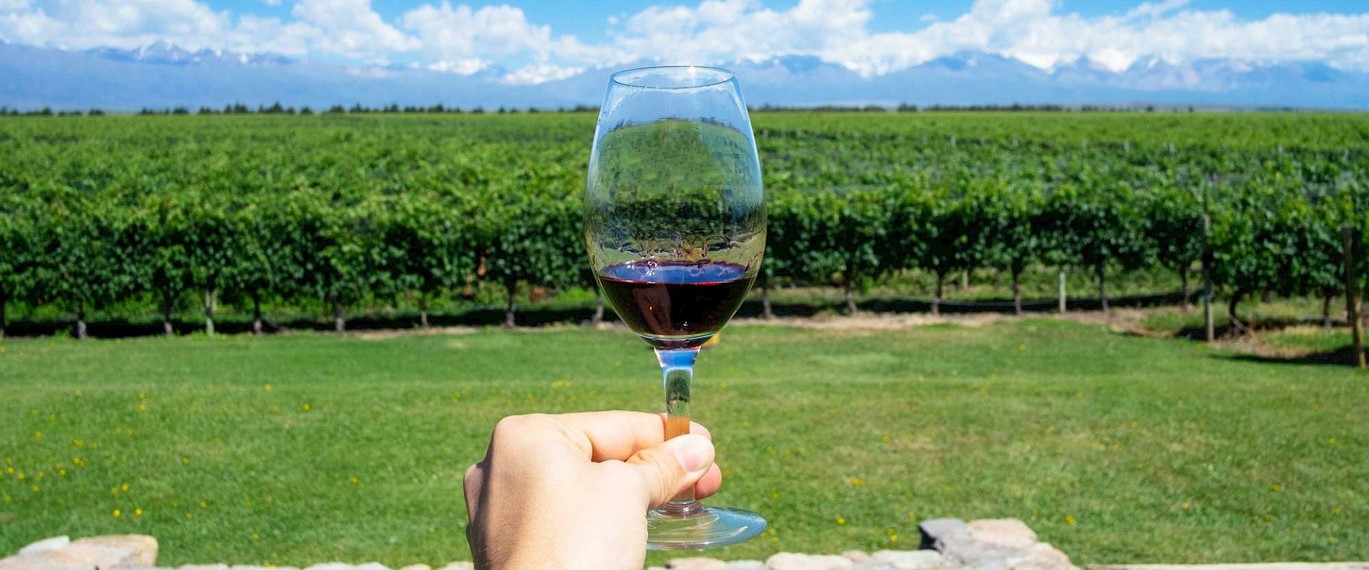 The Top Red Wines in America: A Wine Expert's Perspective